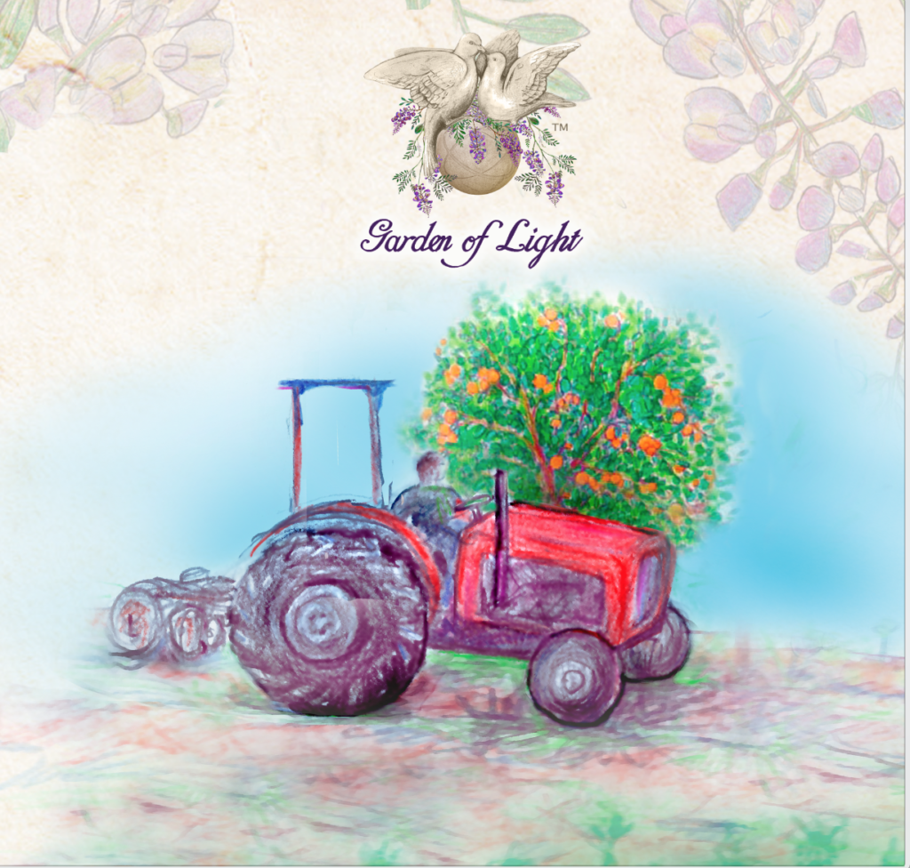 Illustrated Gift Card – red tractor | Garden of Light